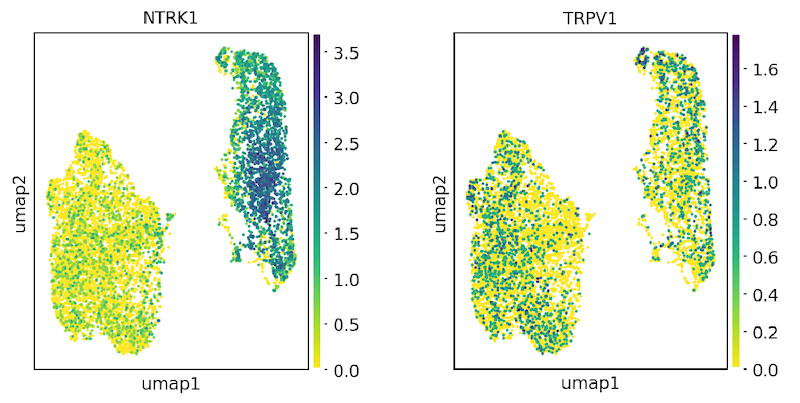 ioSensory Neurons | ioCells | bit.bio
